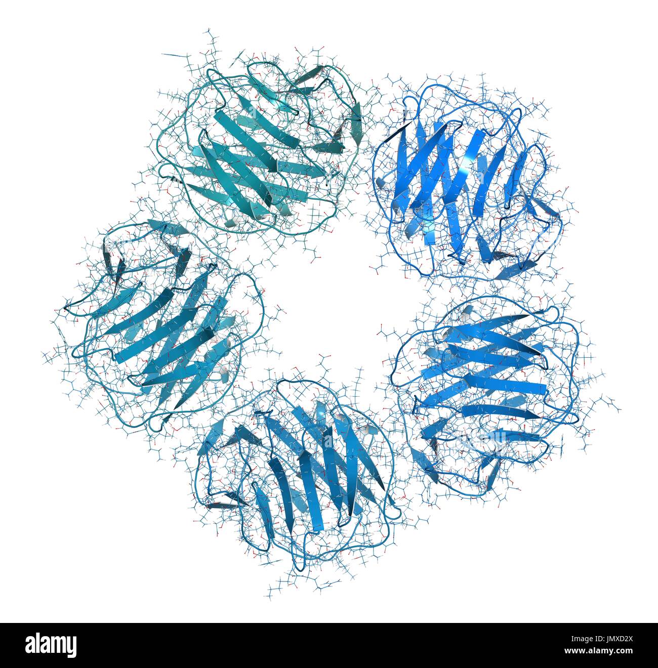 C-reactive protein (CRP, human) inflammation biomarker protein ...