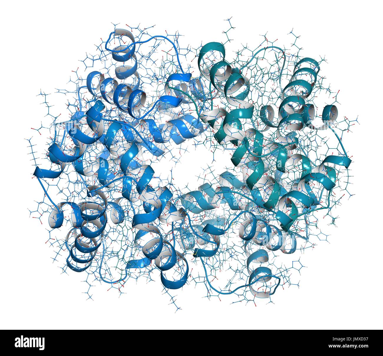 Blood hemoglobin cartoon hi-res stock photography and images - Alamy