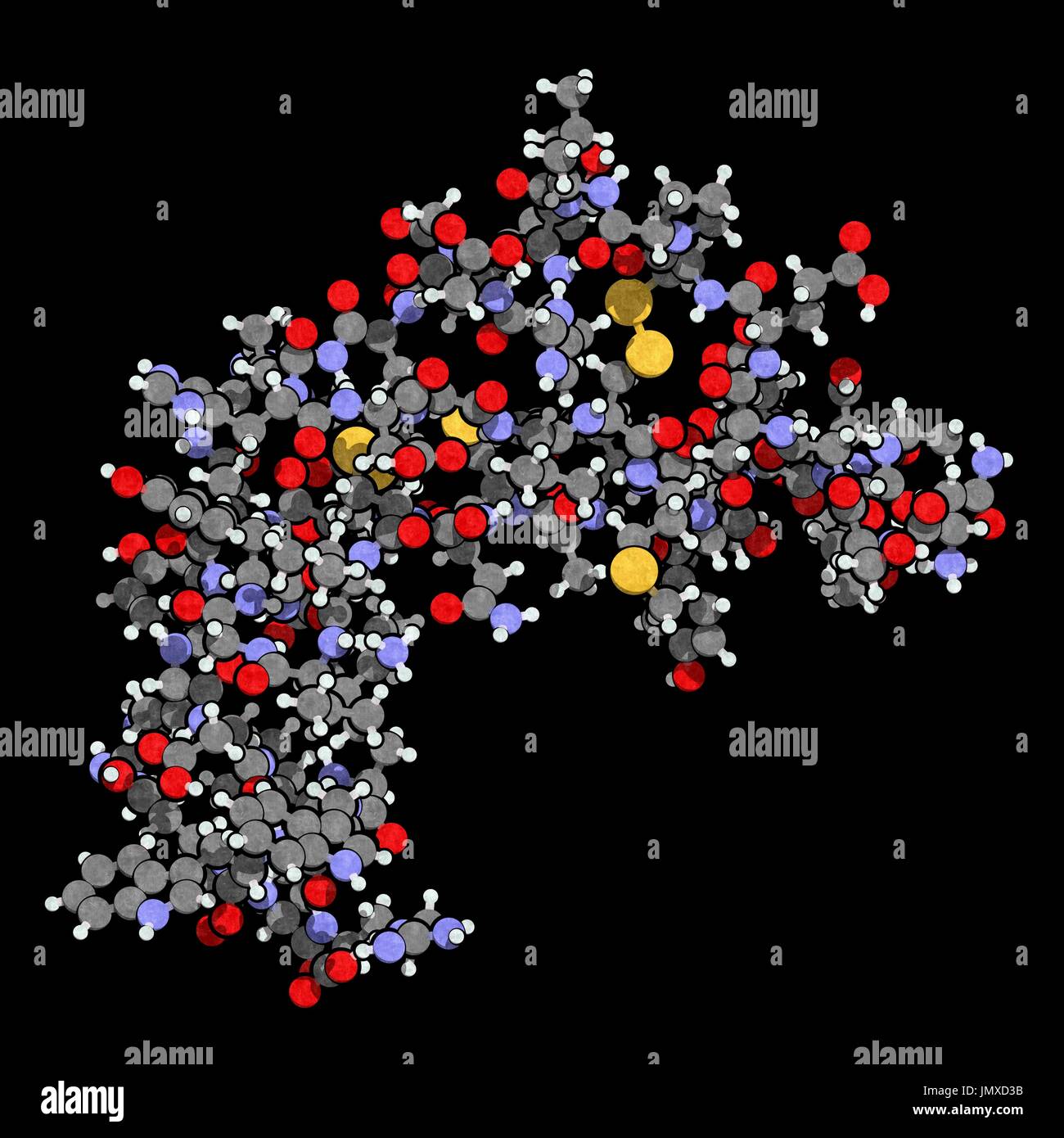 Epidermal growth factor (EGF) signalling protein molecule. Ball-and ...