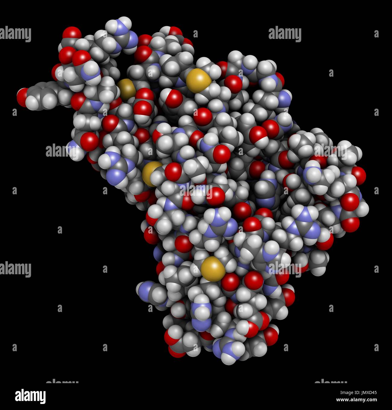 Prion protein hi-res stock photography and images - Alamy
