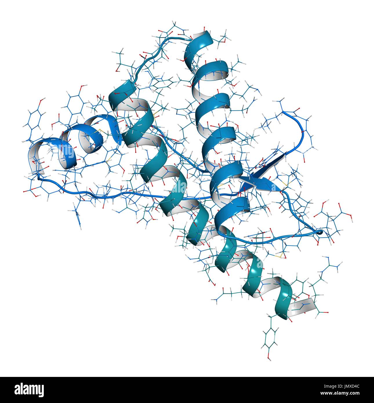 Prion protein hi-res stock photography and images - Alamy