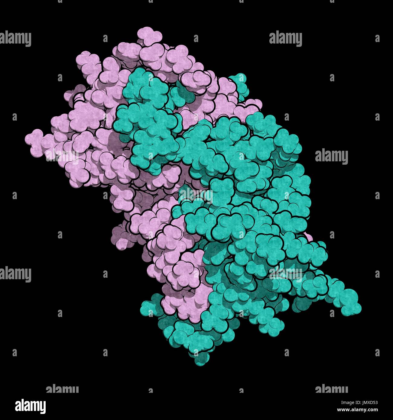 Interferon gamma (IFNg) cytokine molecule, chemical structure ...