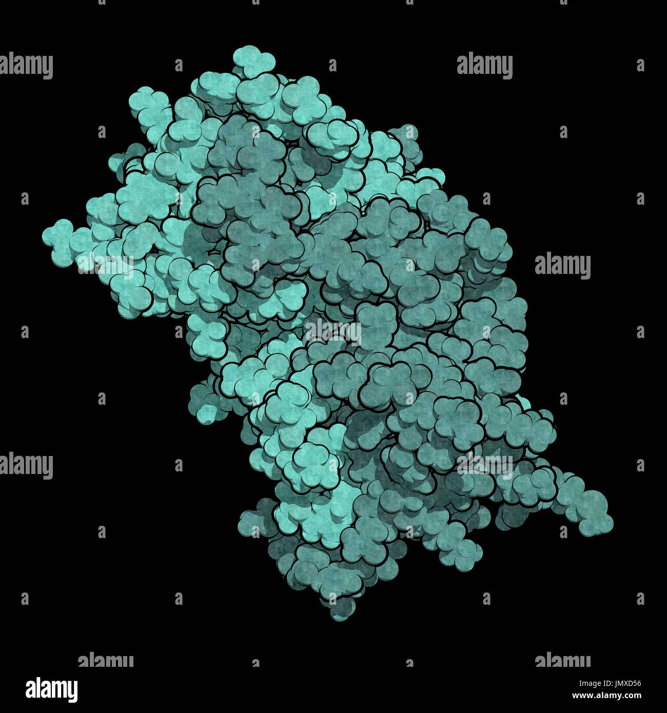 Interferon gamma (IFNg) cytokine molecule, chemical structure ...