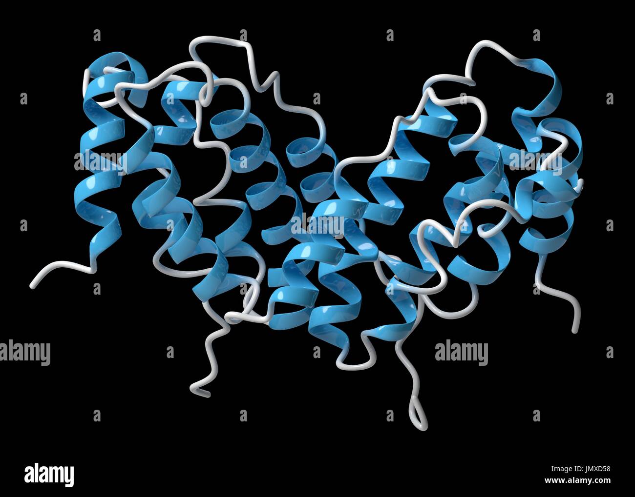 Interferon gamma (IFNg) cytokine molecule, chemical structure ...