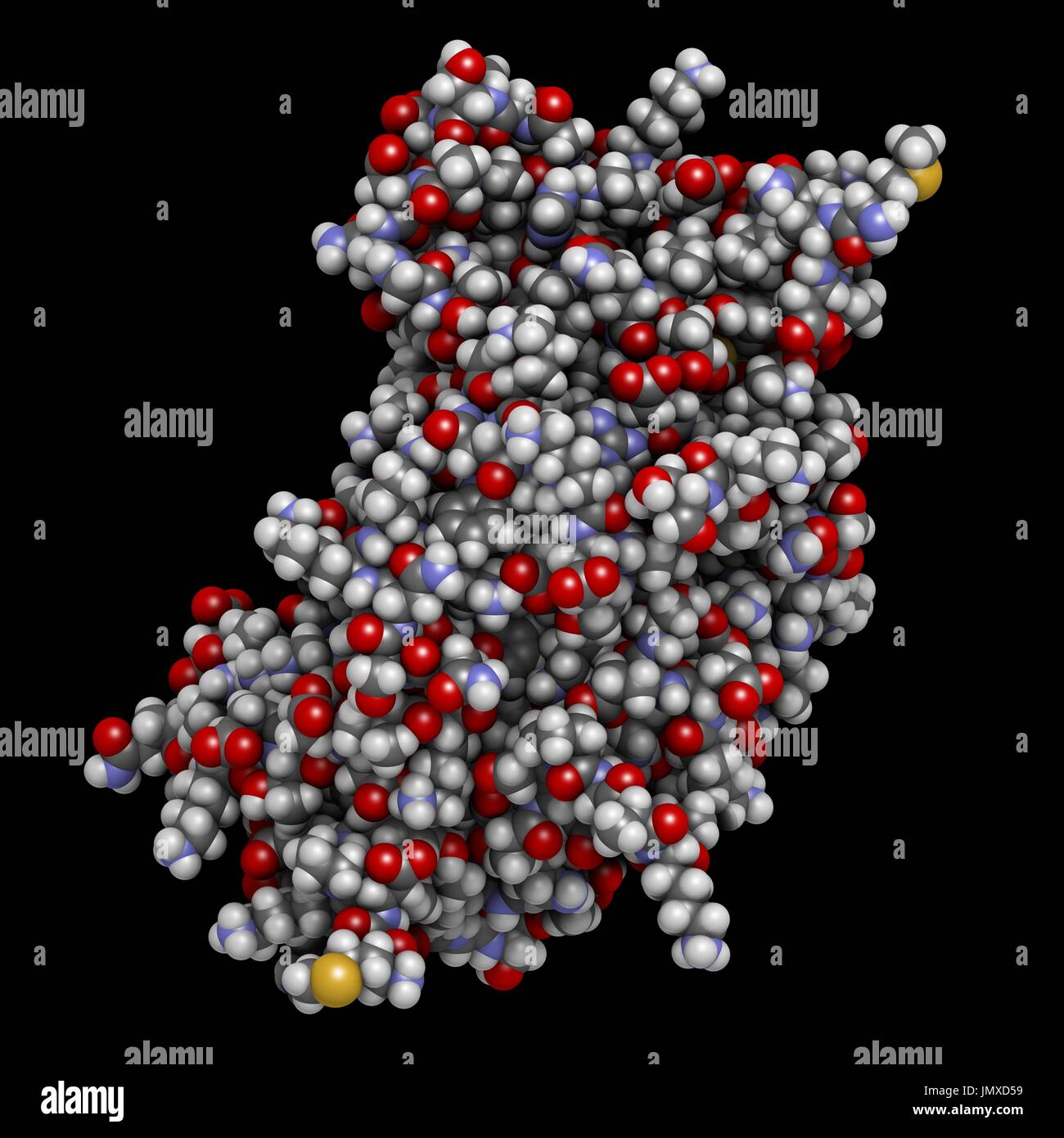 Interferon gamma (IFNg) cytokine molecule, chemical structure ...