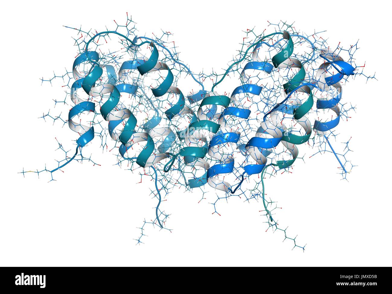 Gamma interferon hi-res stock photography and images - Alamy