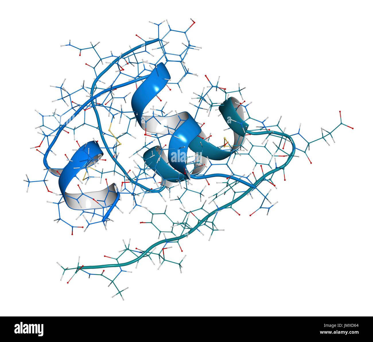 Insulin peptide hormone. Important drug in treatment of diabetes ...