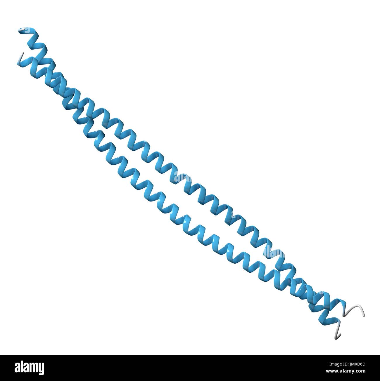 Epidermolysis bullosa hi-res stock photography and images - Alamy