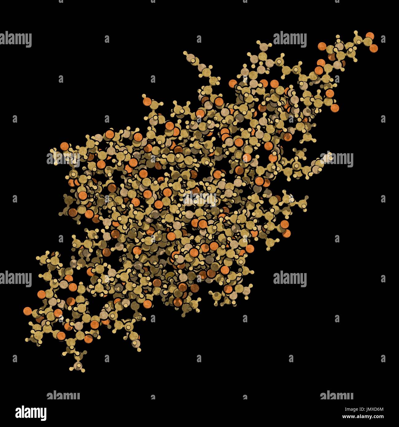 Programmed cell death 1 (PD-1, CD279) receptor protein. PD-1 is a major ...