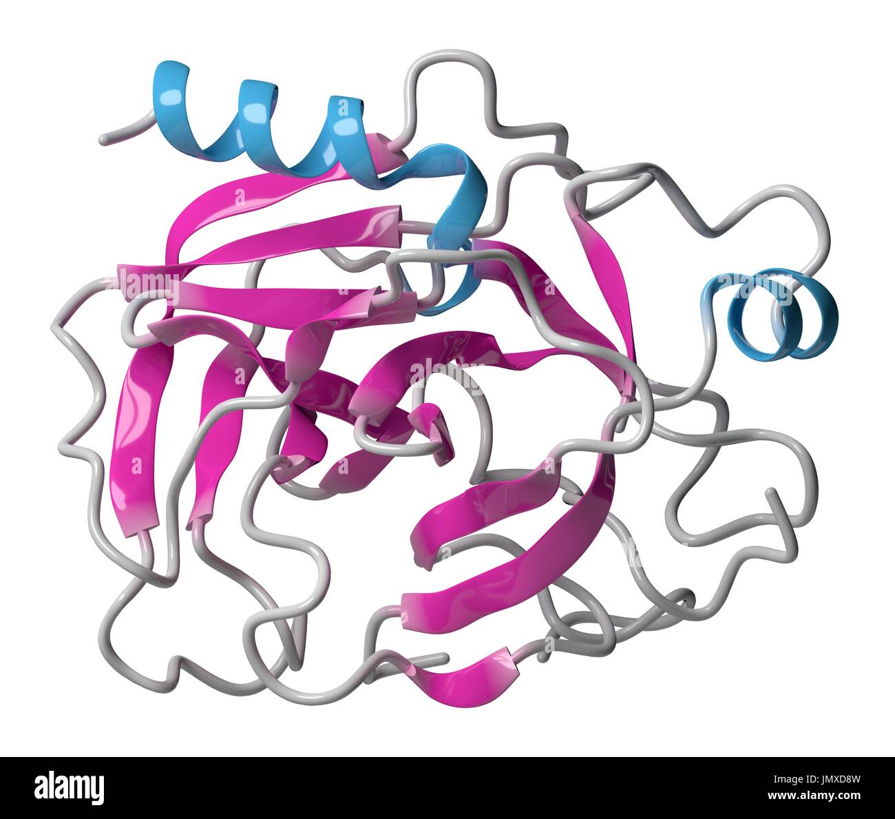 Digestive Enzyme High Resolution Stock Photography and Images - Alamy