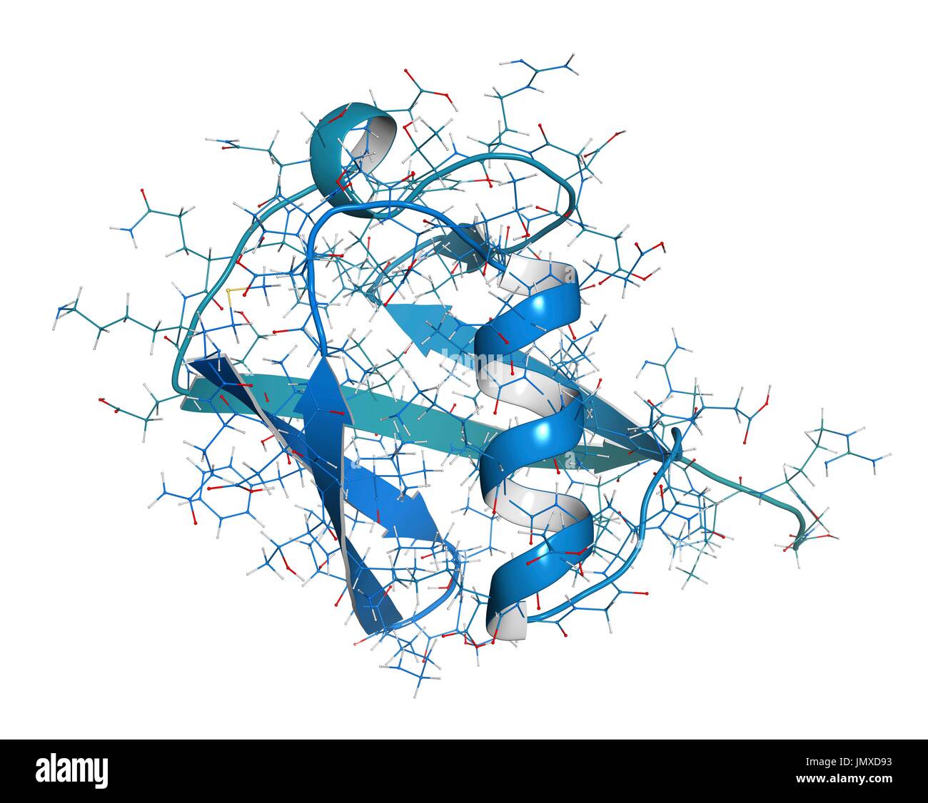Protein breakdown hi-res stock photography and images - Alamy