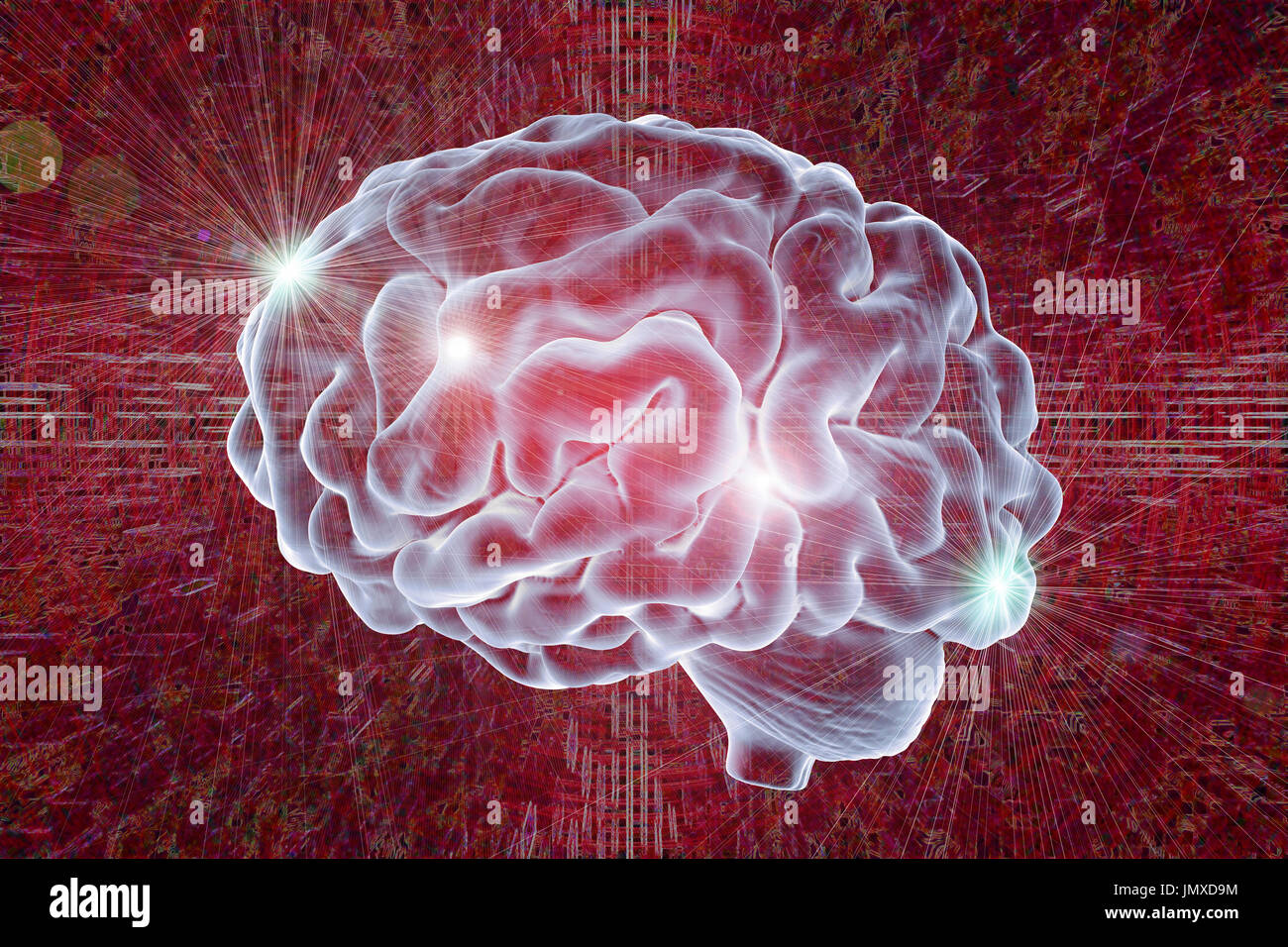 Human brain, computer illustration Stock Photo - Alamy
