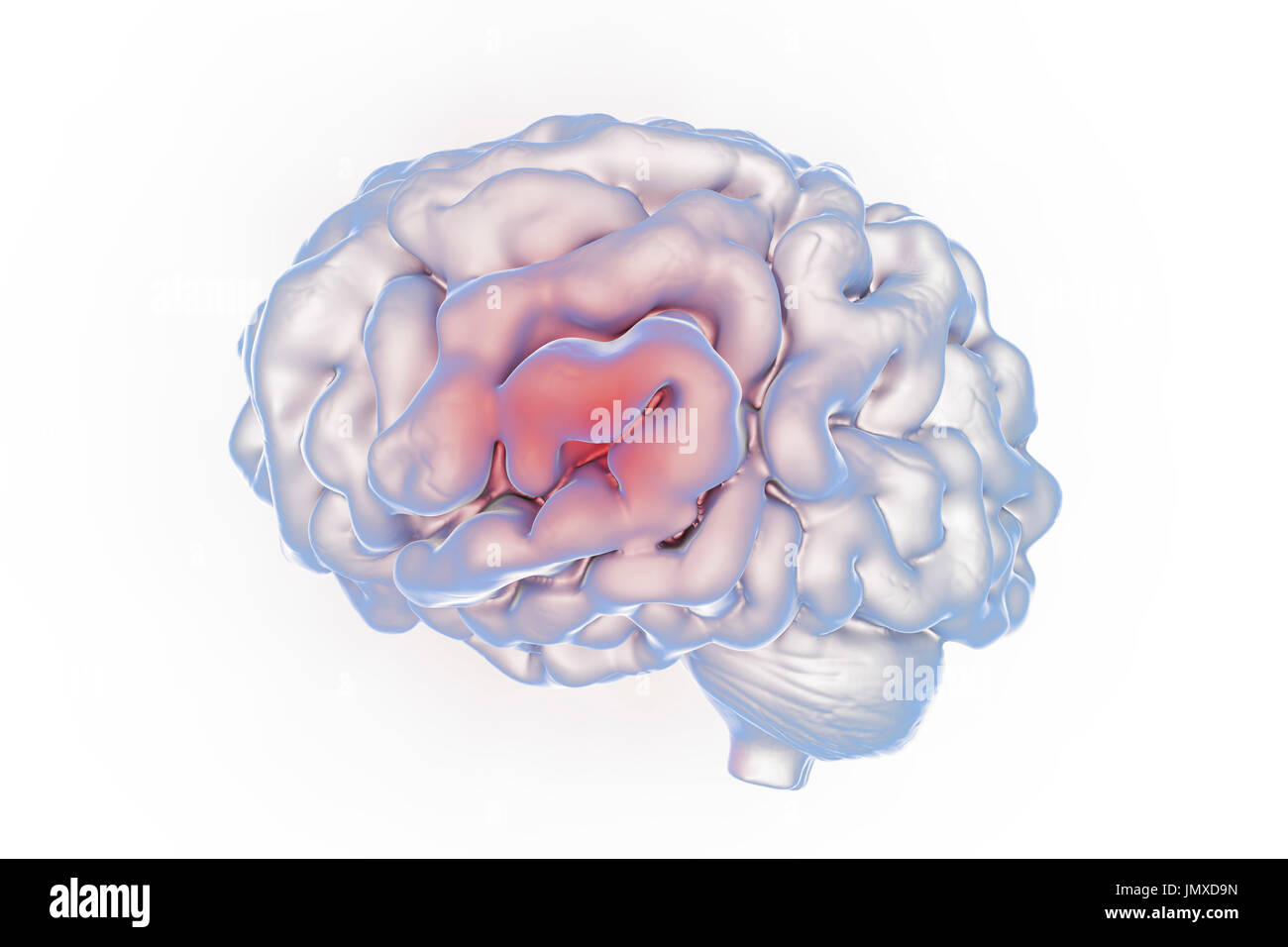 Human brain, computer illustration Stock Photo - Alamy
