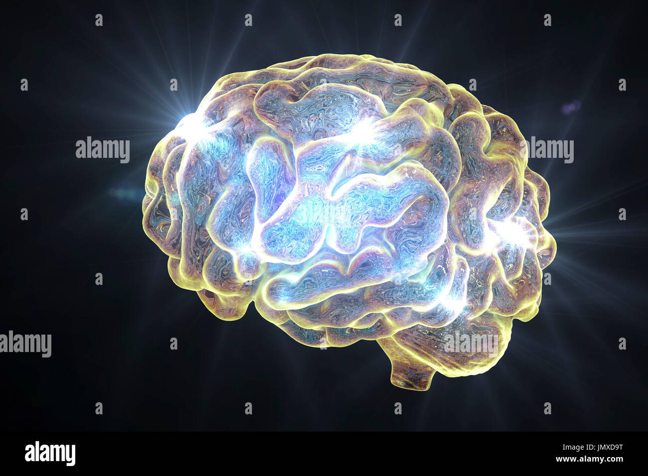 Human brain, computer illustration Stock Photo - Alamy