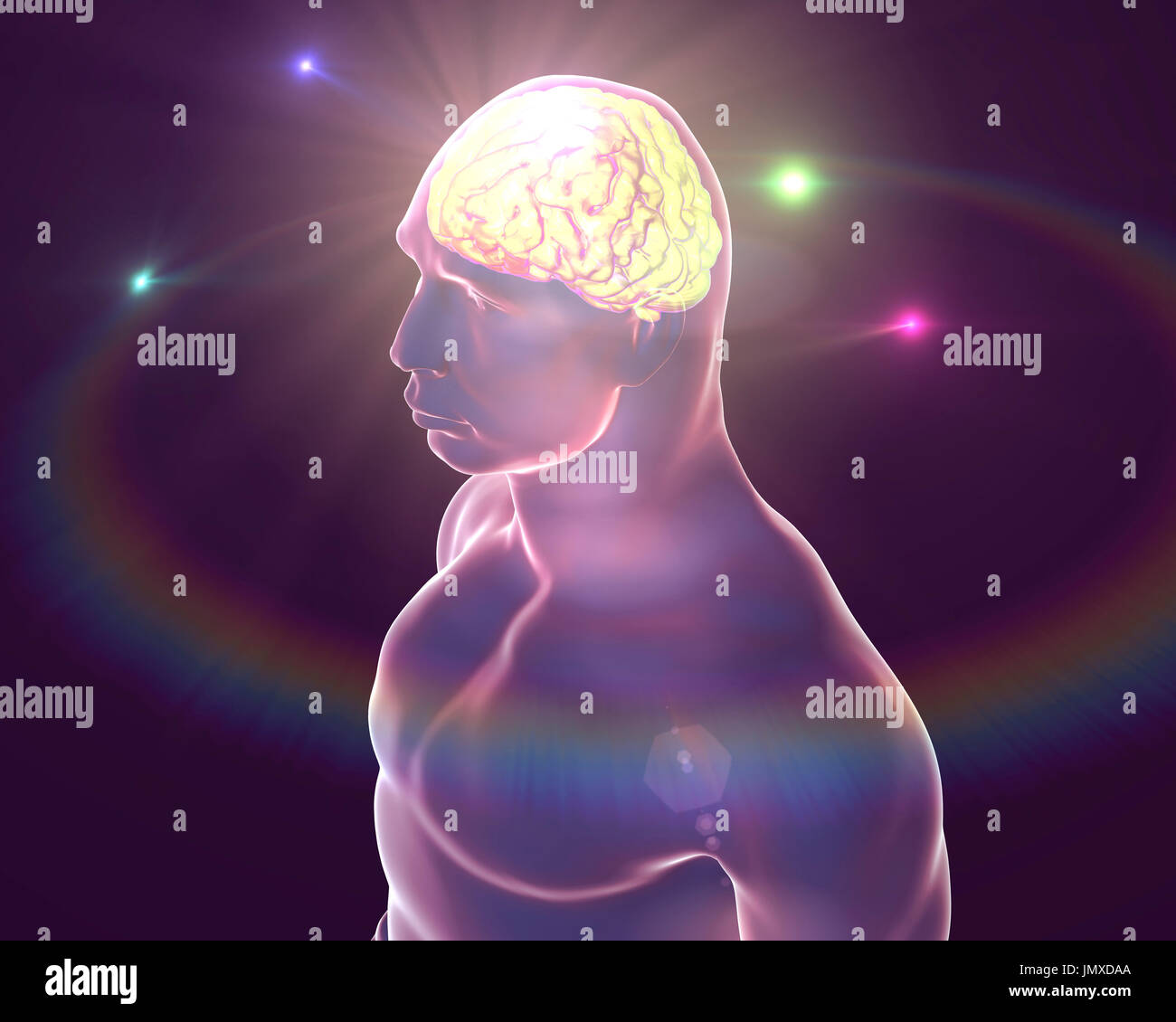 Persons human human hi-res stock photography and images - Alamy