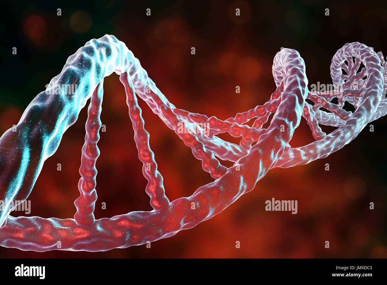 DNA molecule, computer artwork. The molecule of DNA (deoxyribonucleic ...