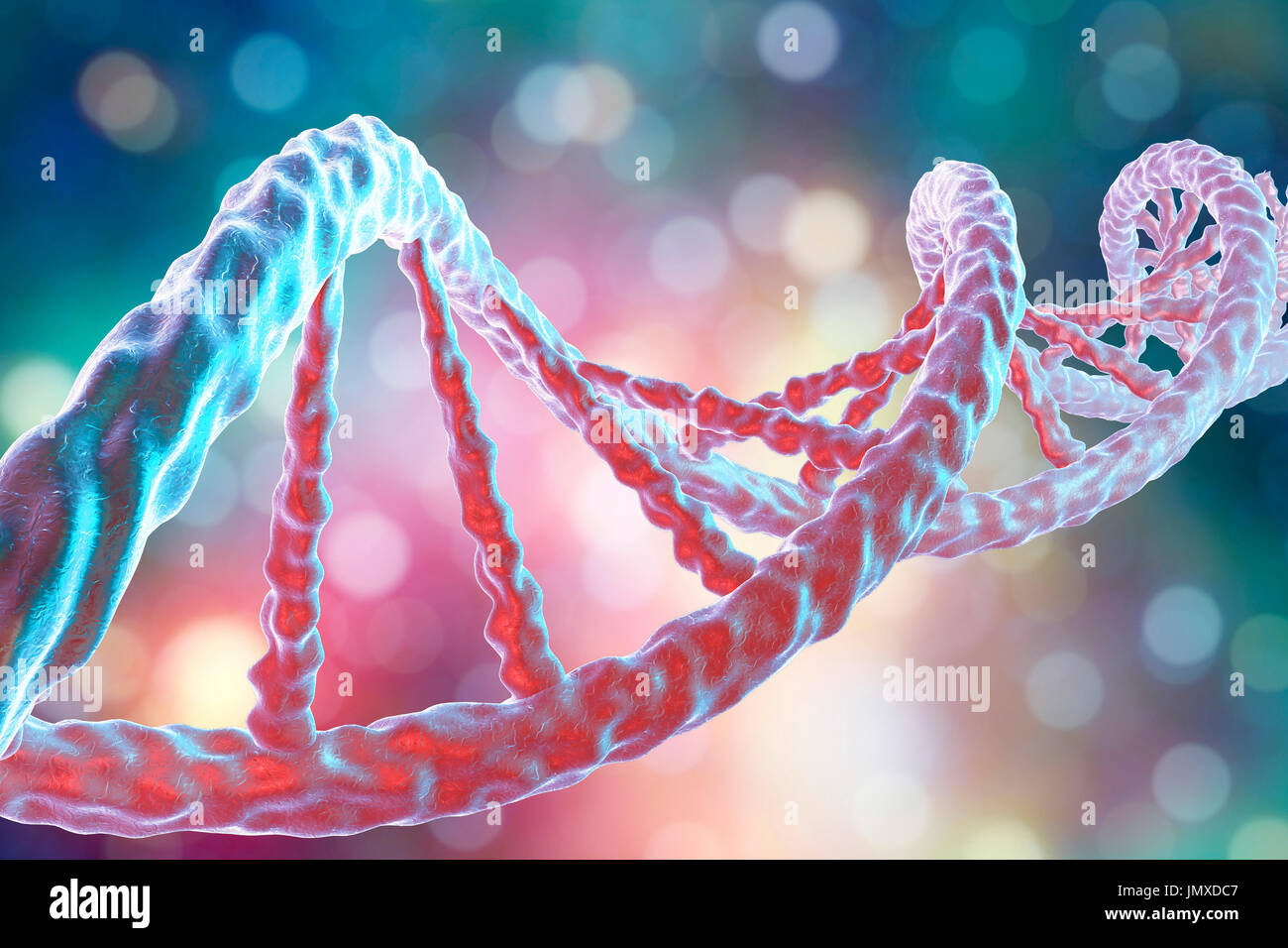 DNA molecule, computer artwork. The molecule of DNA (deoxyribonucleic ...