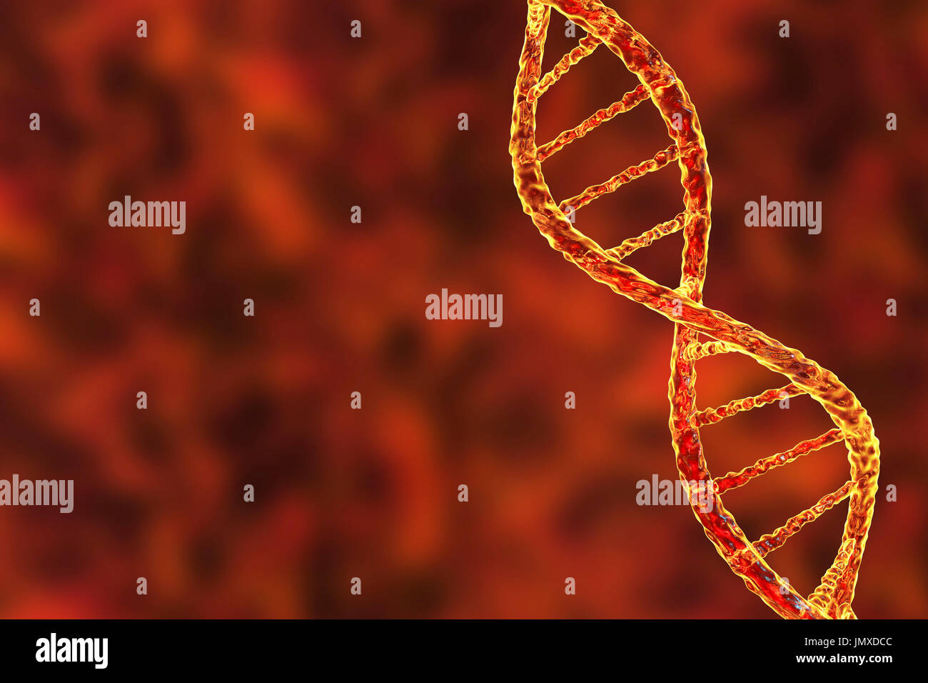 DNA molecule, computer artwork. The molecule of DNA (deoxyribonucleic ...