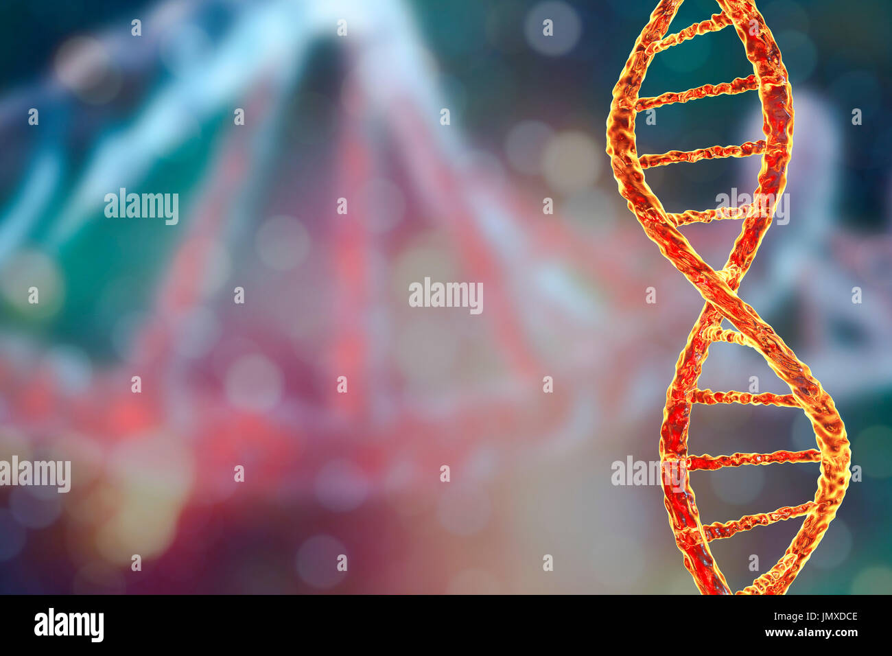DNA molecule, computer artwork. The molecule of DNA (deoxyribonucleic ...
