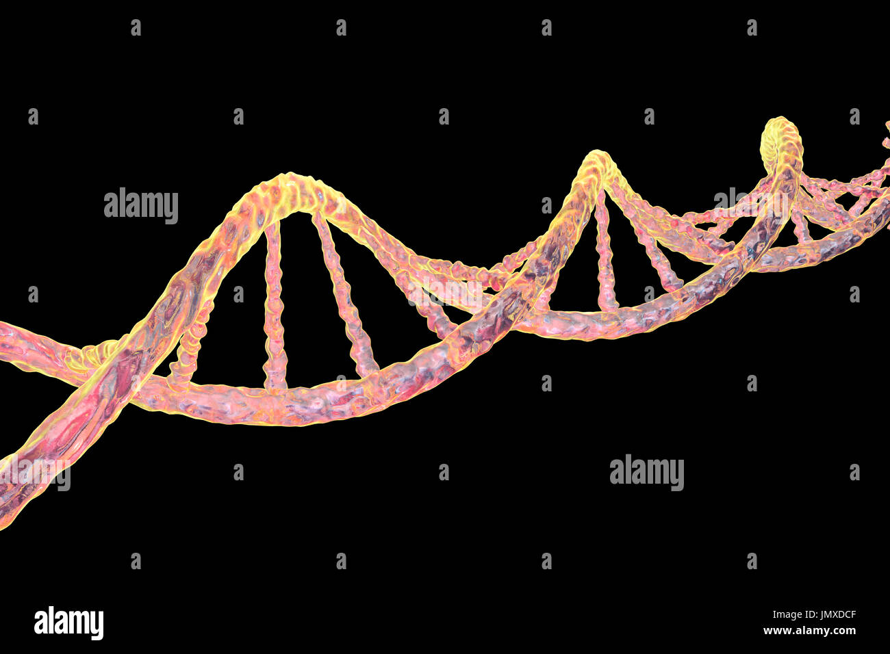 DNA molecule, computer artwork. The molecule of DNA (deoxyribonucleic ...