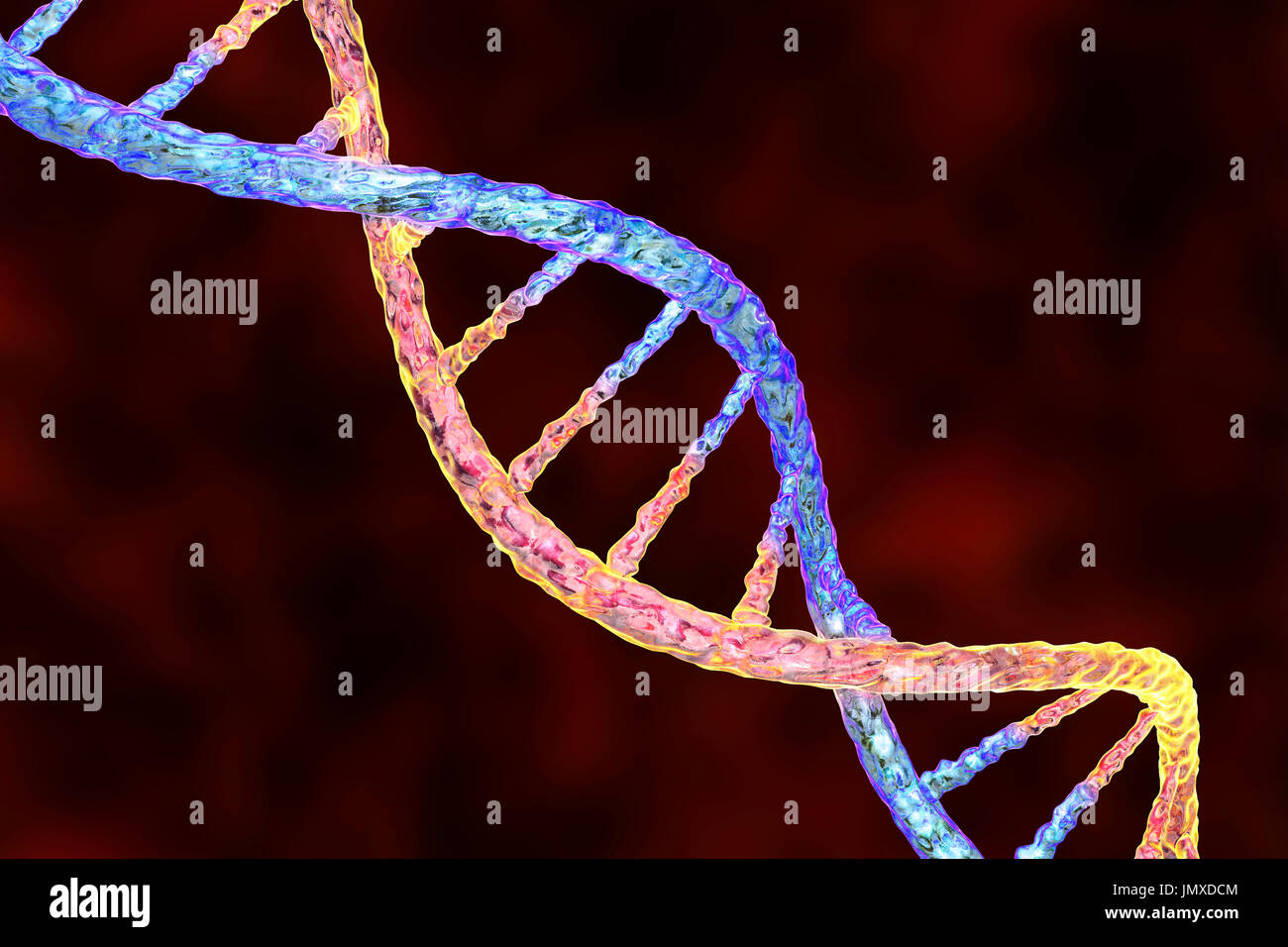 DNA molecule, computer artwork. The molecule of DNA (deoxyribonucleic ...