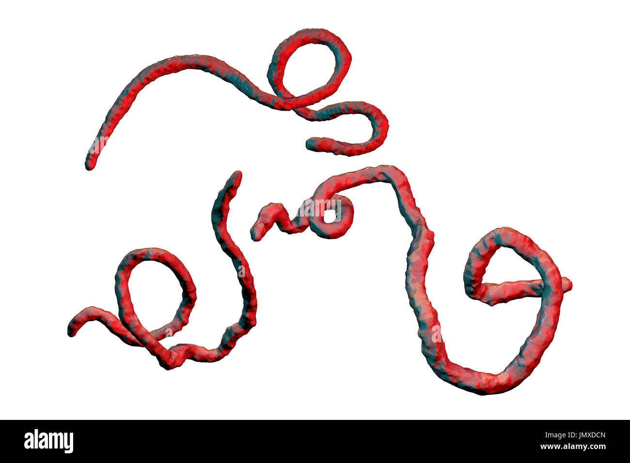 No humans Cut Out Stock Images & Pictures - Alamy