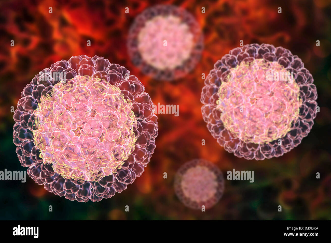 Rotavirus particle, computer illustration. The virus particle consists ...