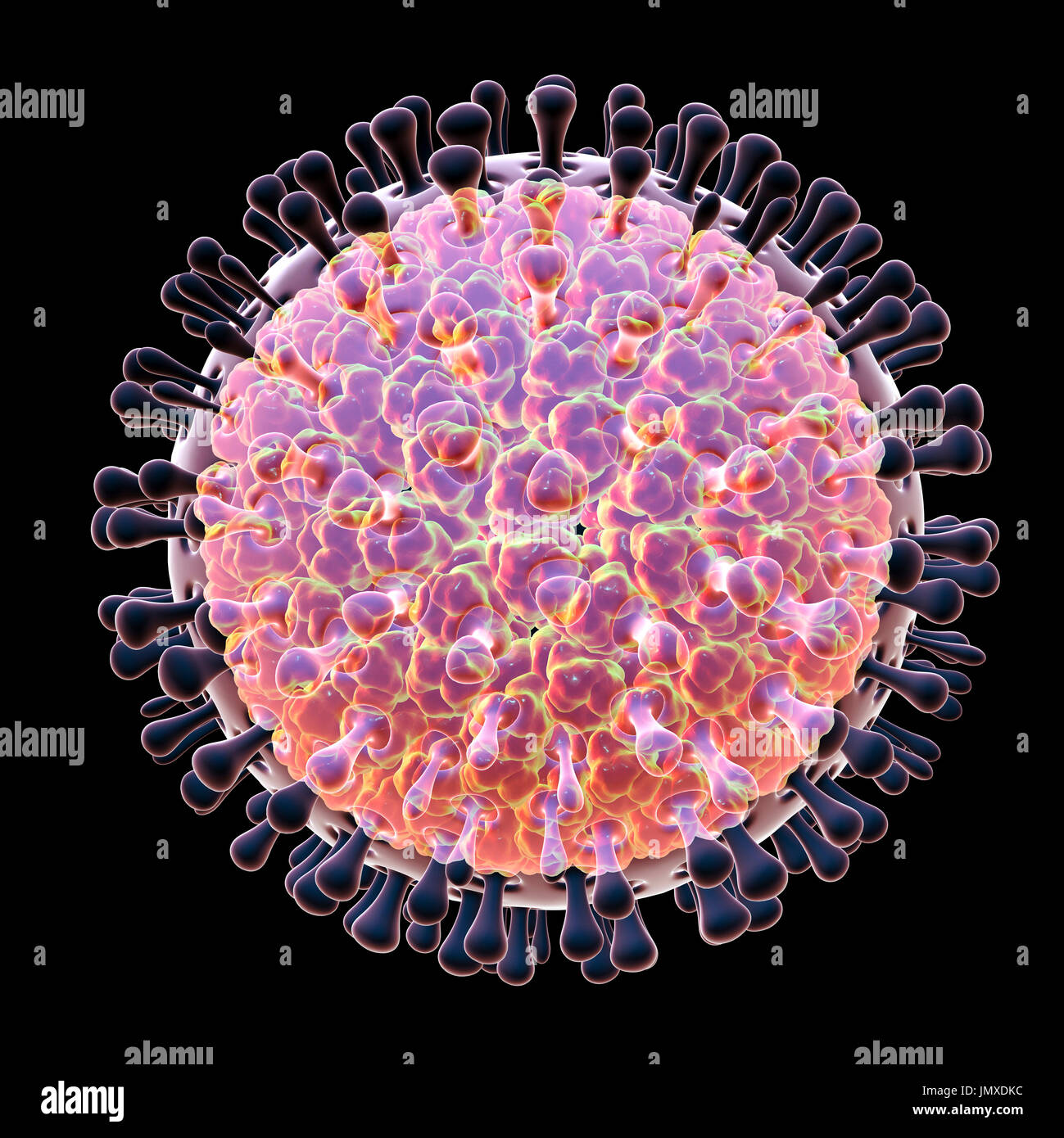 Rotavirus particle, computer illustration. The virus particle consists ...
