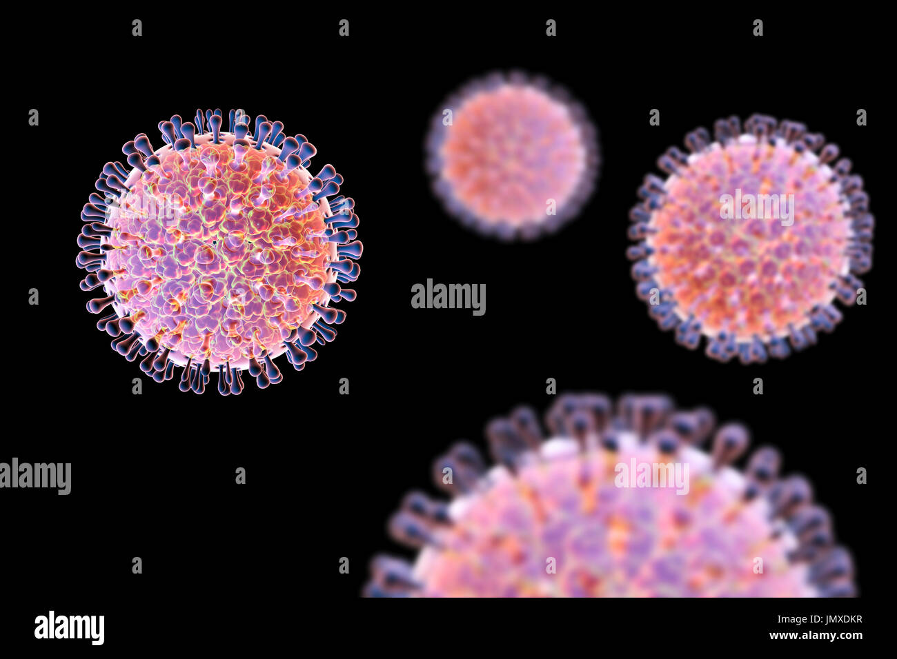 Rotavirus particle, computer illustration. The virus particle consists ...