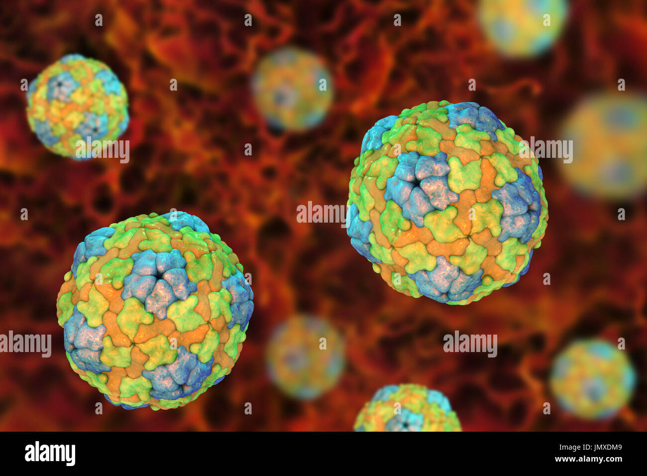 Picornavirus hi-res stock photography and images - Alamy