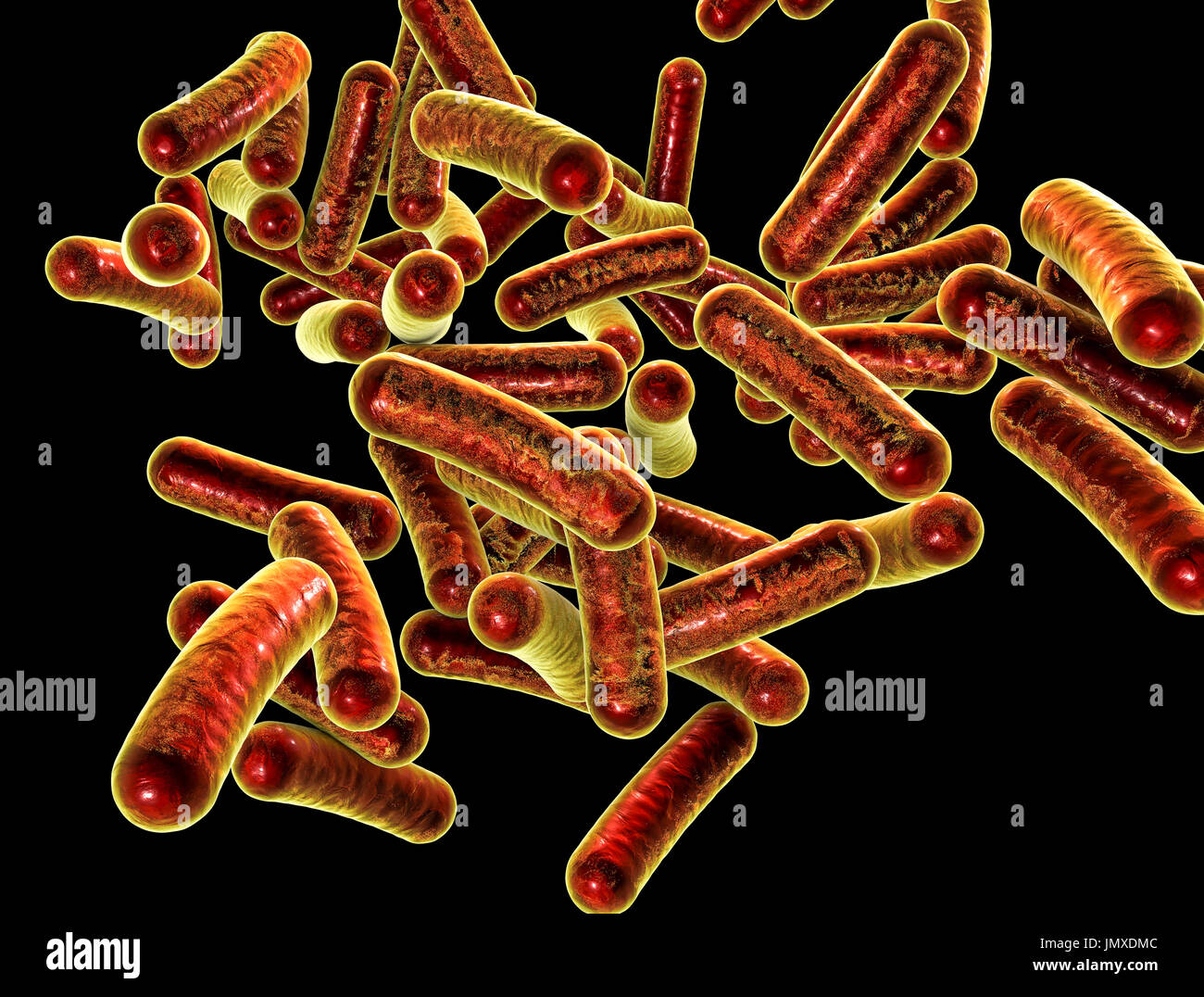 Gram negative shigella hi-res stock photography and images - Alamy