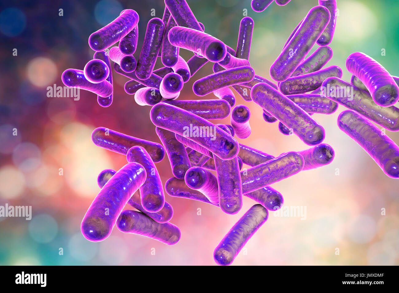 Shigella bacteria, computer illustration. Shigella sp. are Gram ...