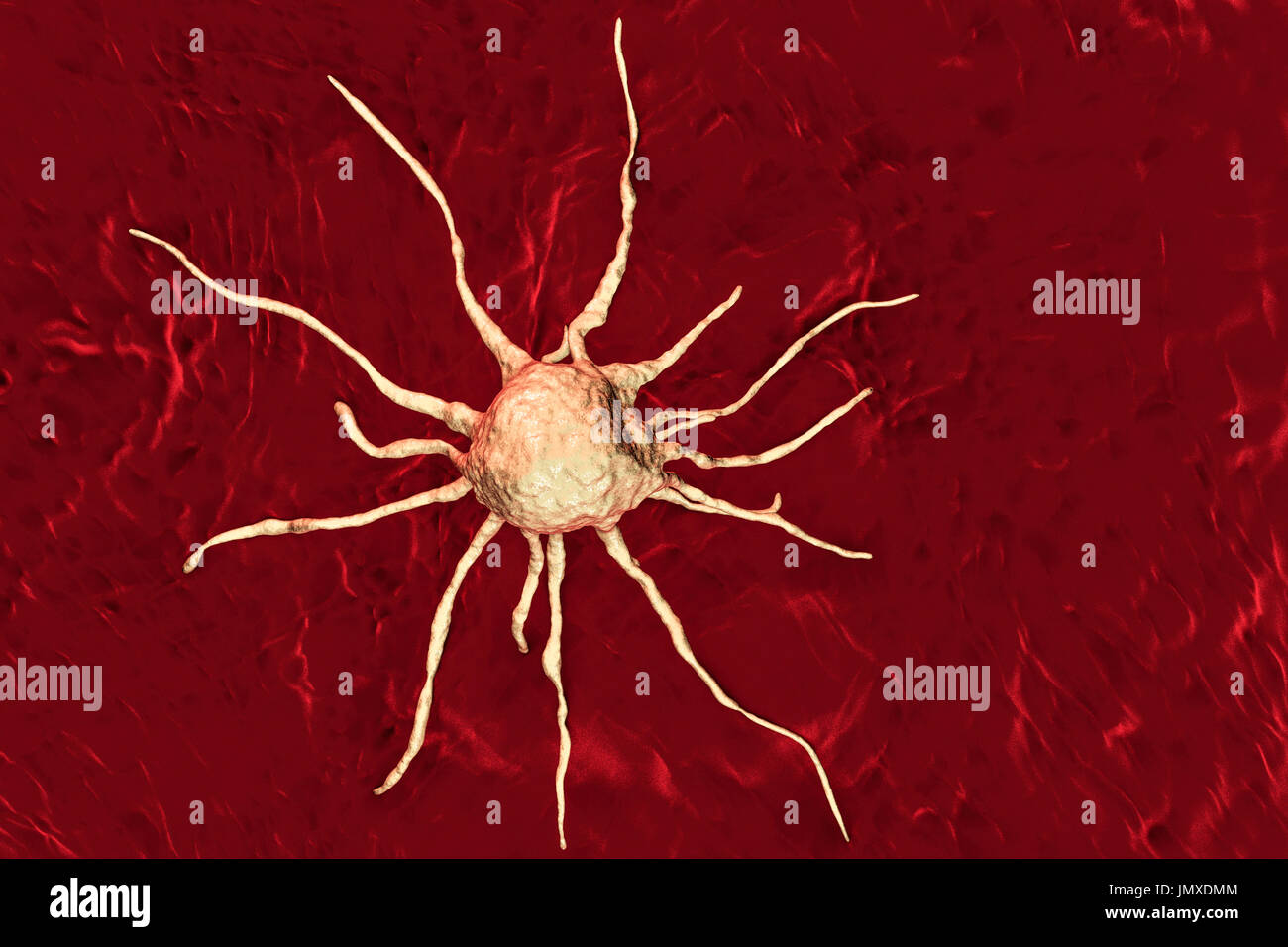 Cancer cell, computer illustration Stock Photo - Alamy