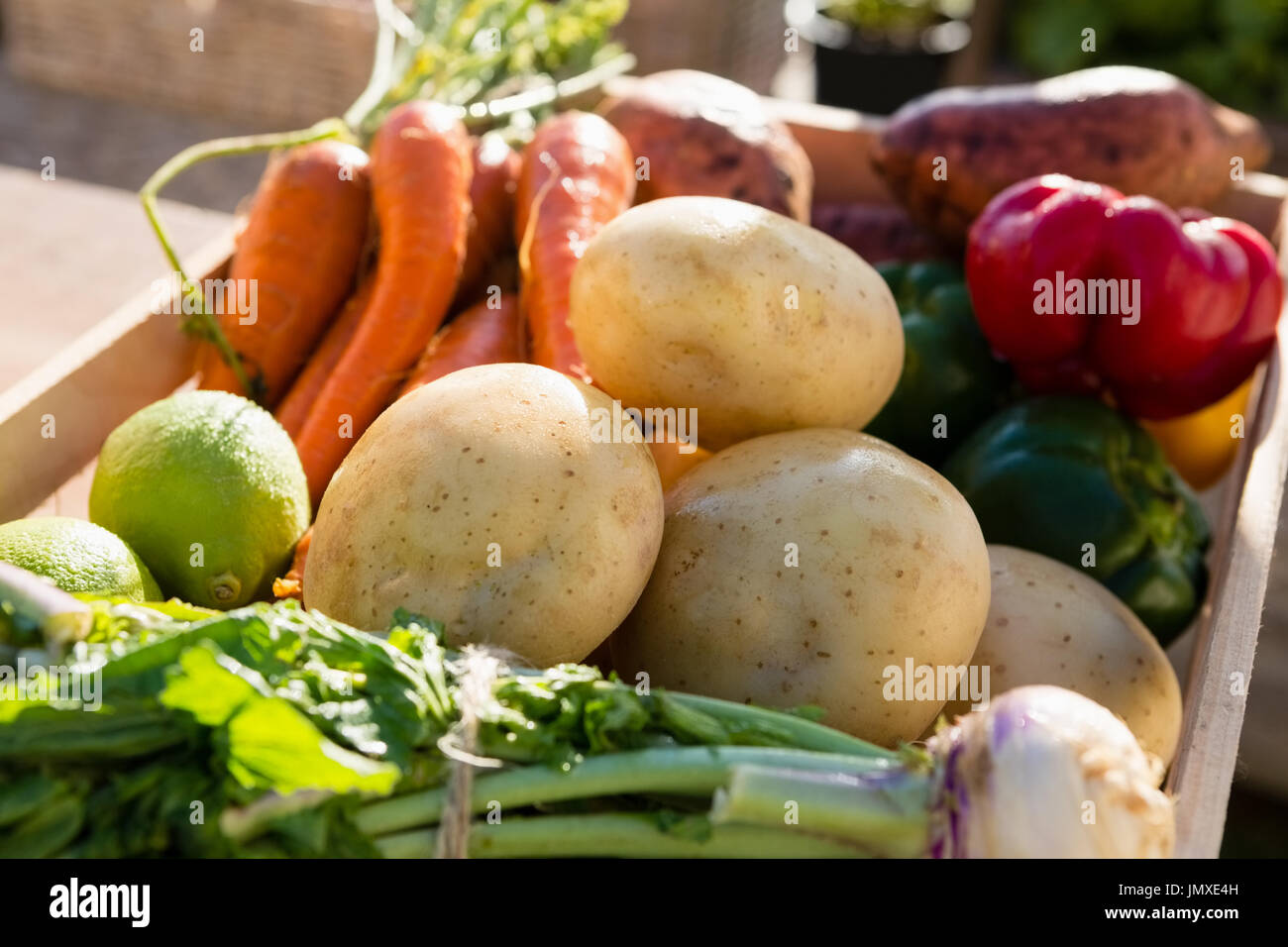 Variety of vegetables in crate hi-res stock photography and images - Alamy