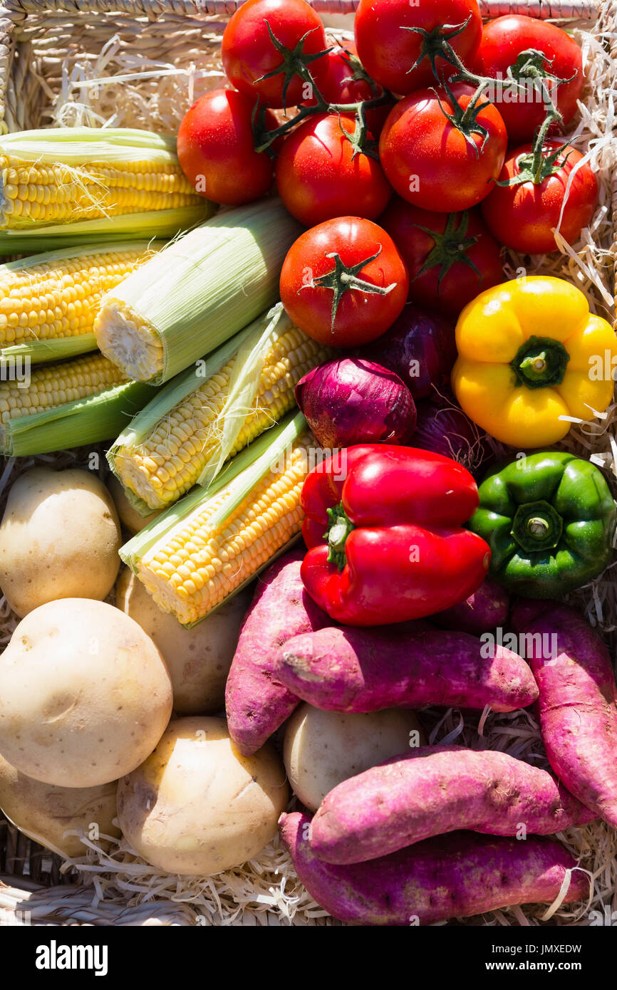 Overhead view of fresh vegetables in wicker basket Stock Photo - Alamy