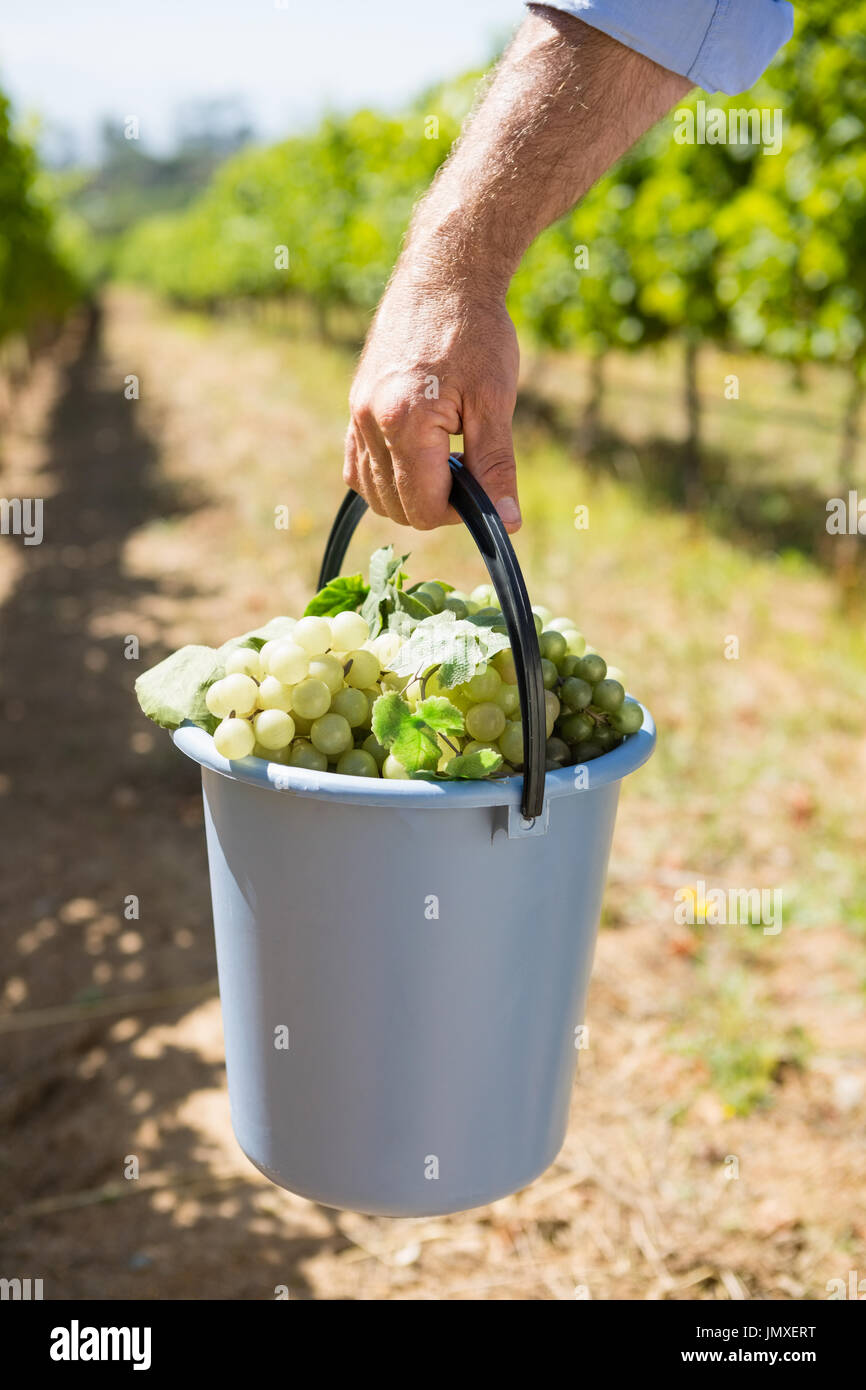 Man carrying bucket farm hi-res stock photography and images - Alamy