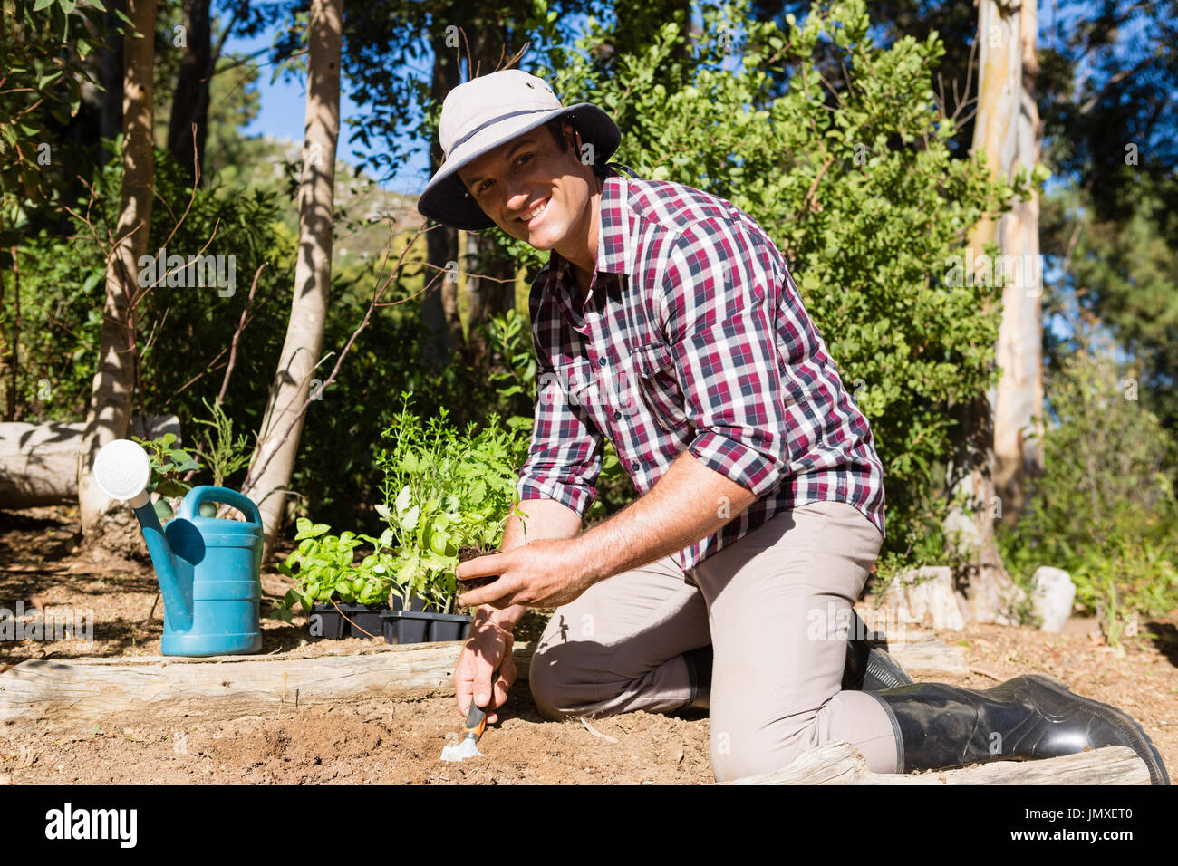 Happy man planting sapling in garden on a sunny day Stock Photo - Alamy