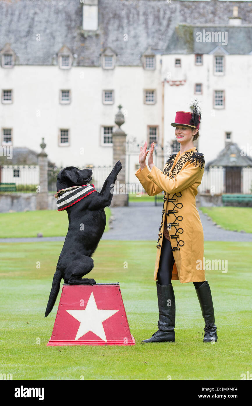 Picture: Ring Master Bethany Martin and her dogs Moscow the Northern ...