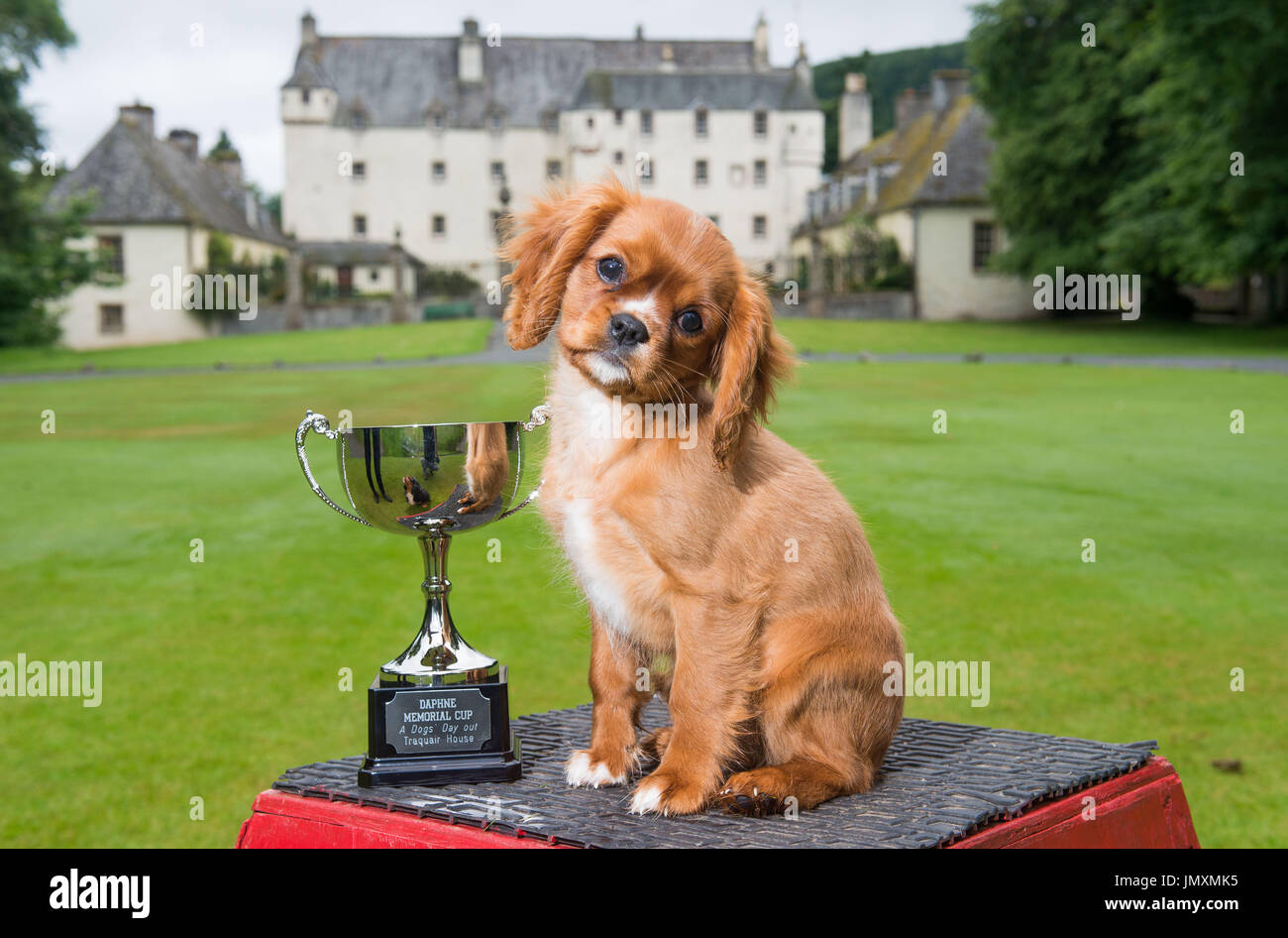 Moscow scotland hi-res stock photography and images - Alamy