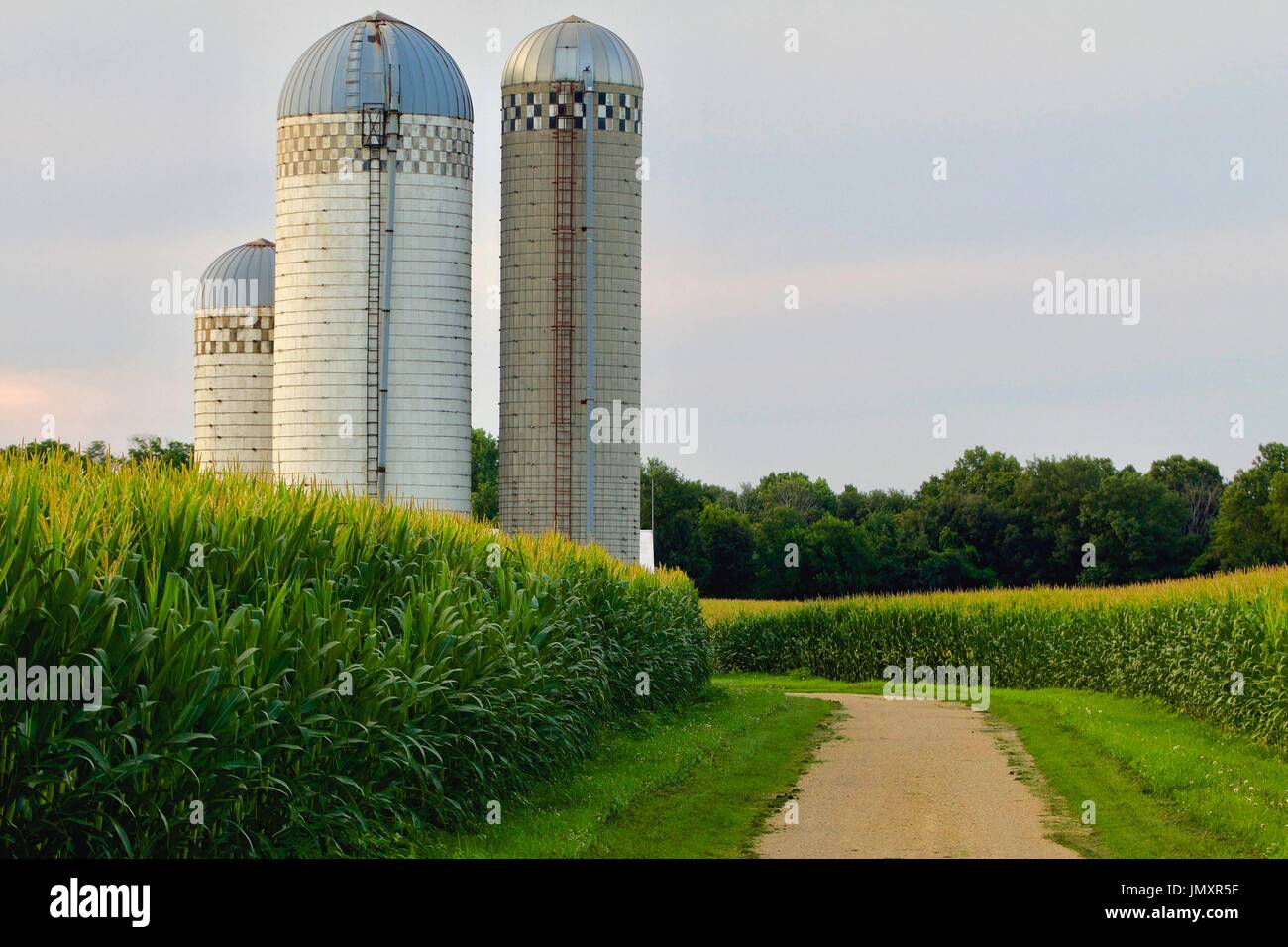 Three silos horizontal format Stock Photo - Alamy