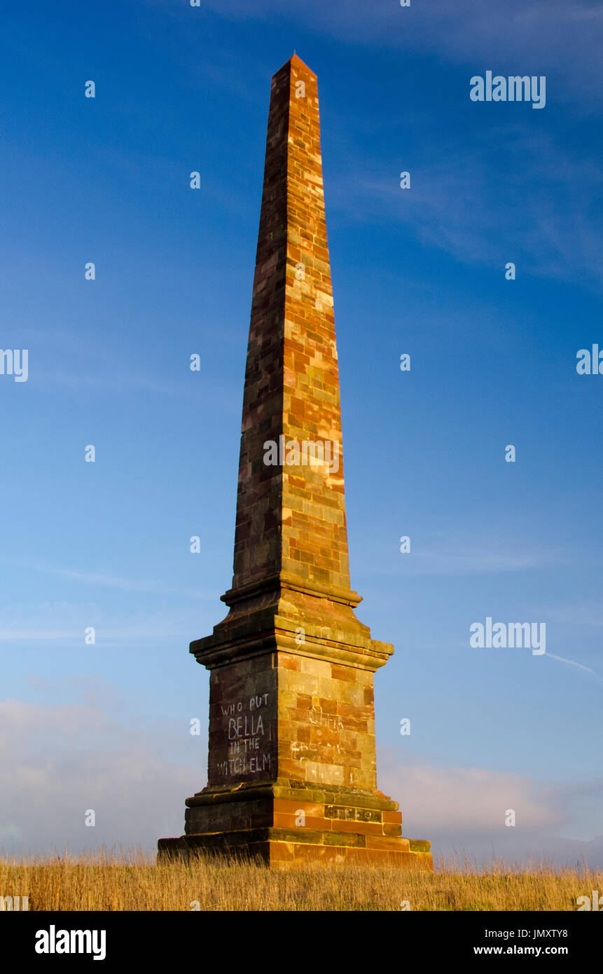 Witch elm bella hi-res stock photography and images - Alamy