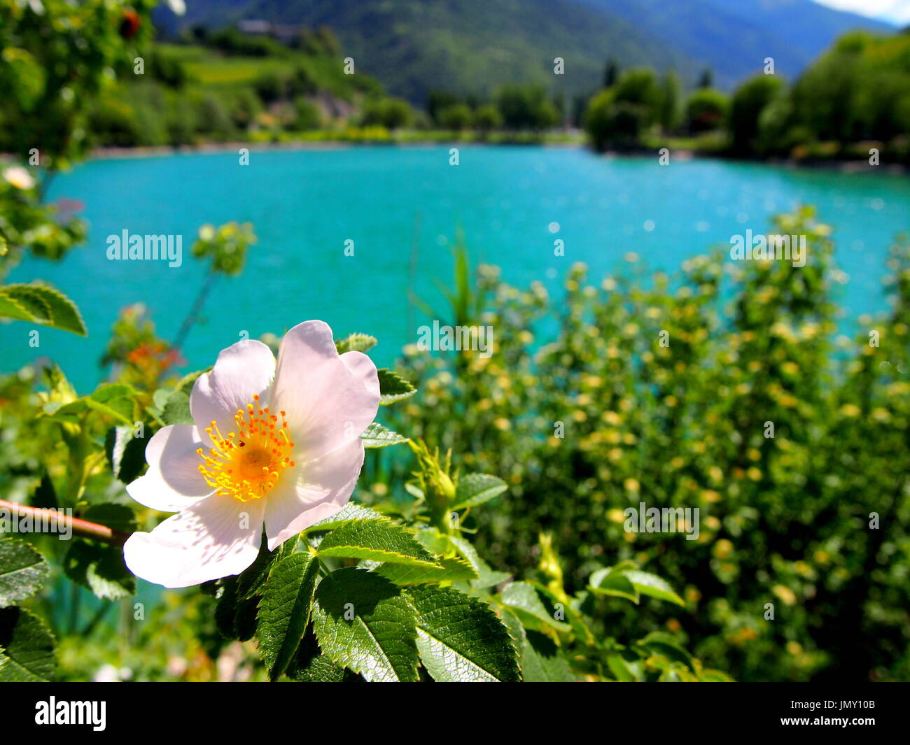 Sierre High Resolution Stock Photography and Images - Alamy