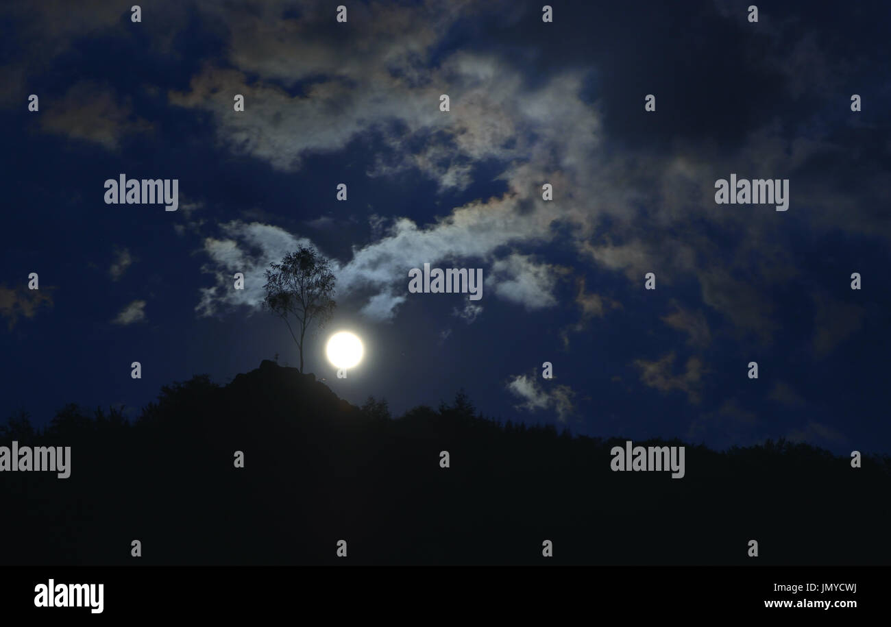 tree under the moonlight Stock Photo - Alamy