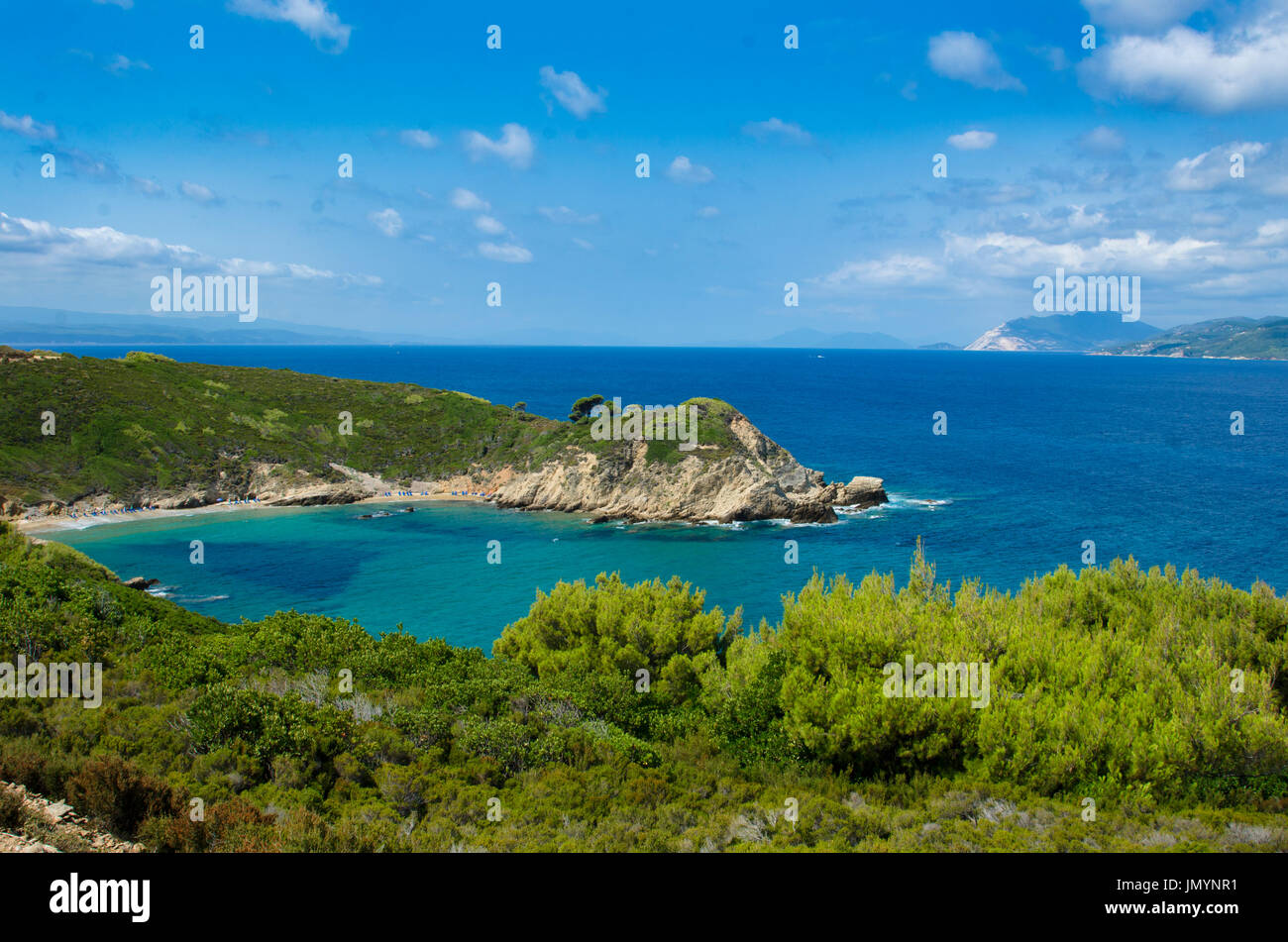 Vegetation green greece hi-res stock photography and images - Alamy