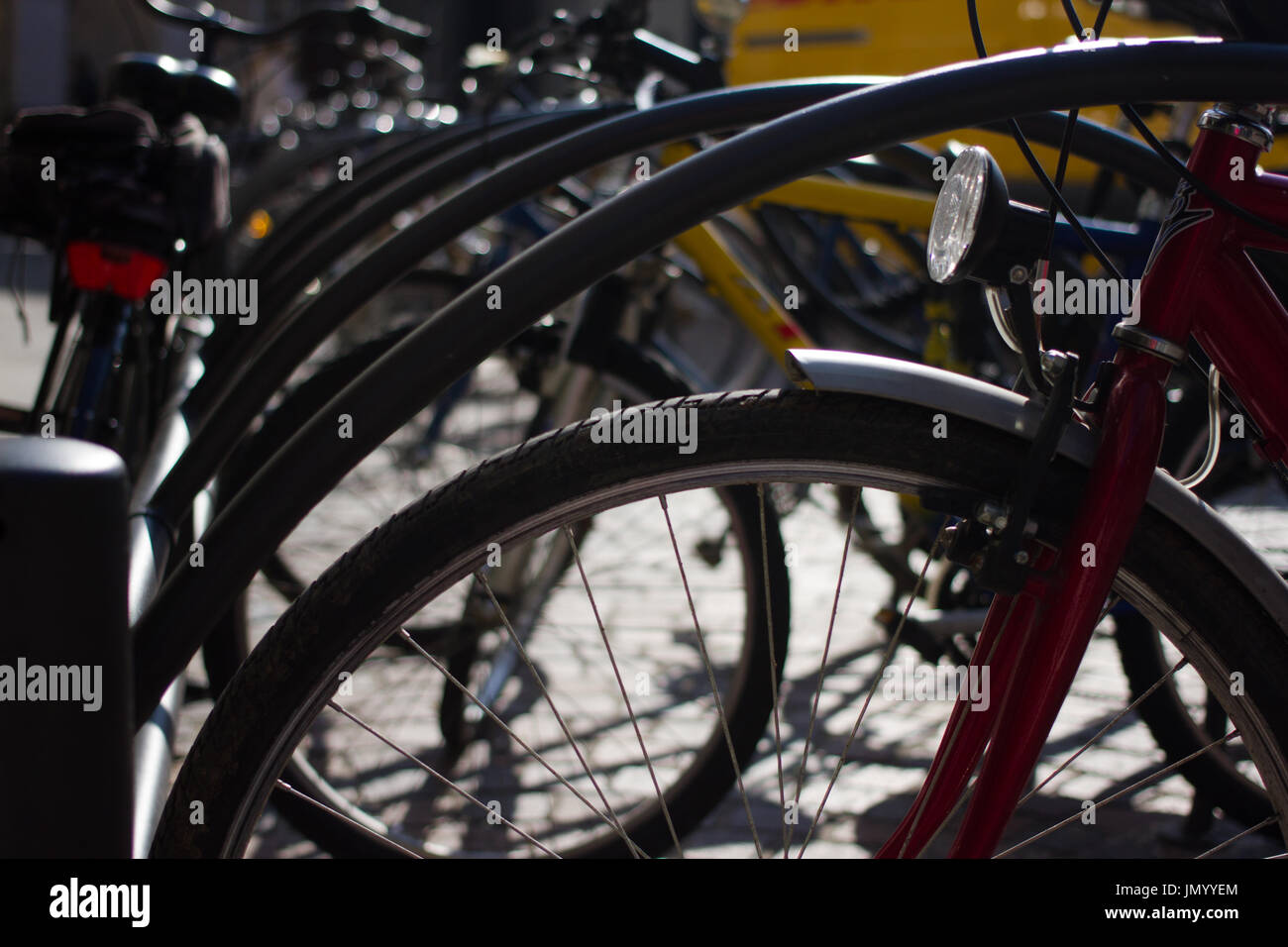 Bicycle parking. Group of bikes. Rental cycle objects in city Stock ...