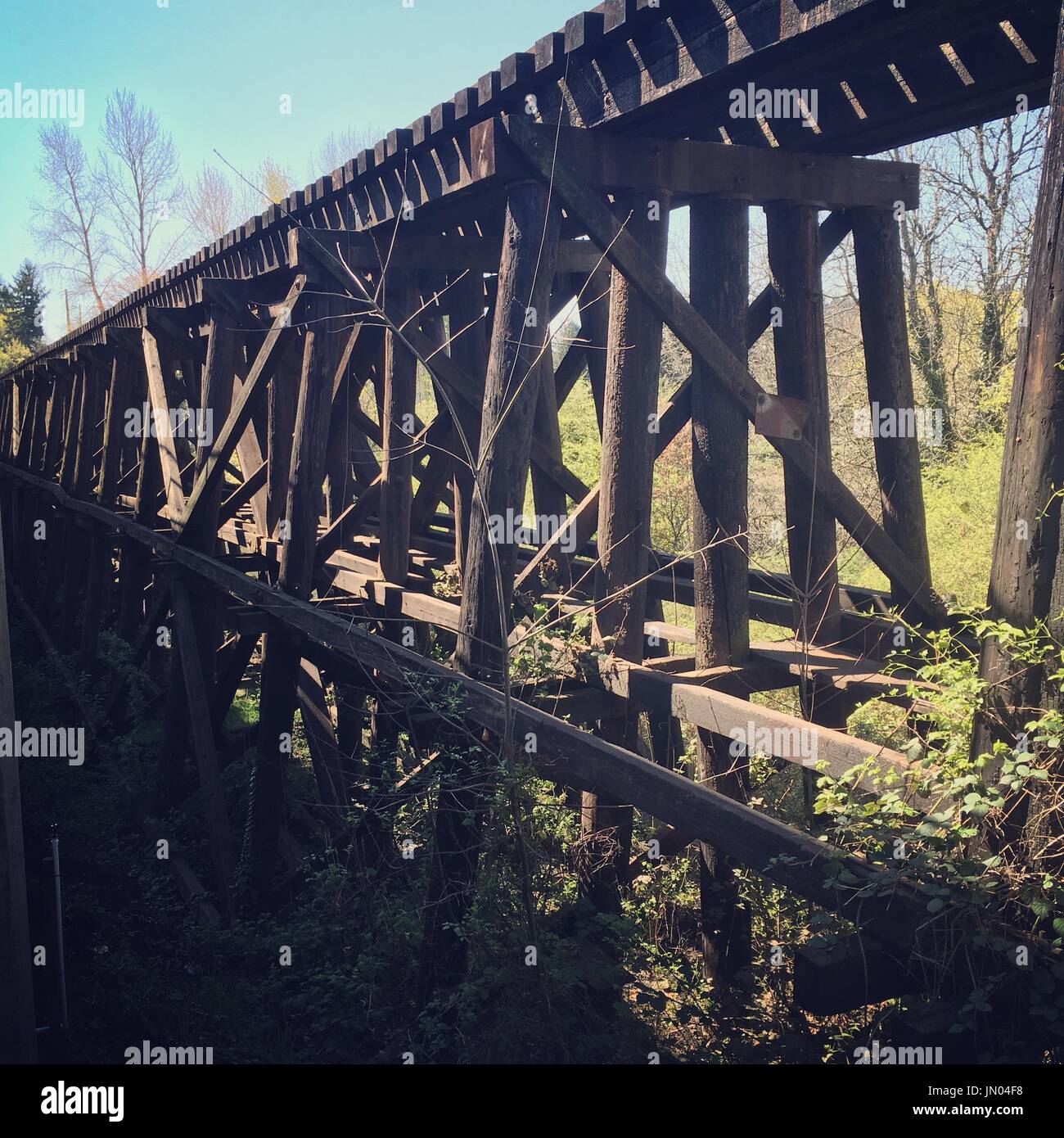 Trestle Bridge Railroad Bridge Locomotive High Resolution Stock ...