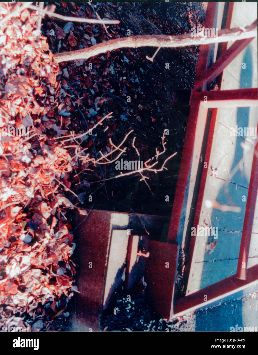 Washington, DC - February 20, 2001 -- "Ellis" drop site - Under a ...