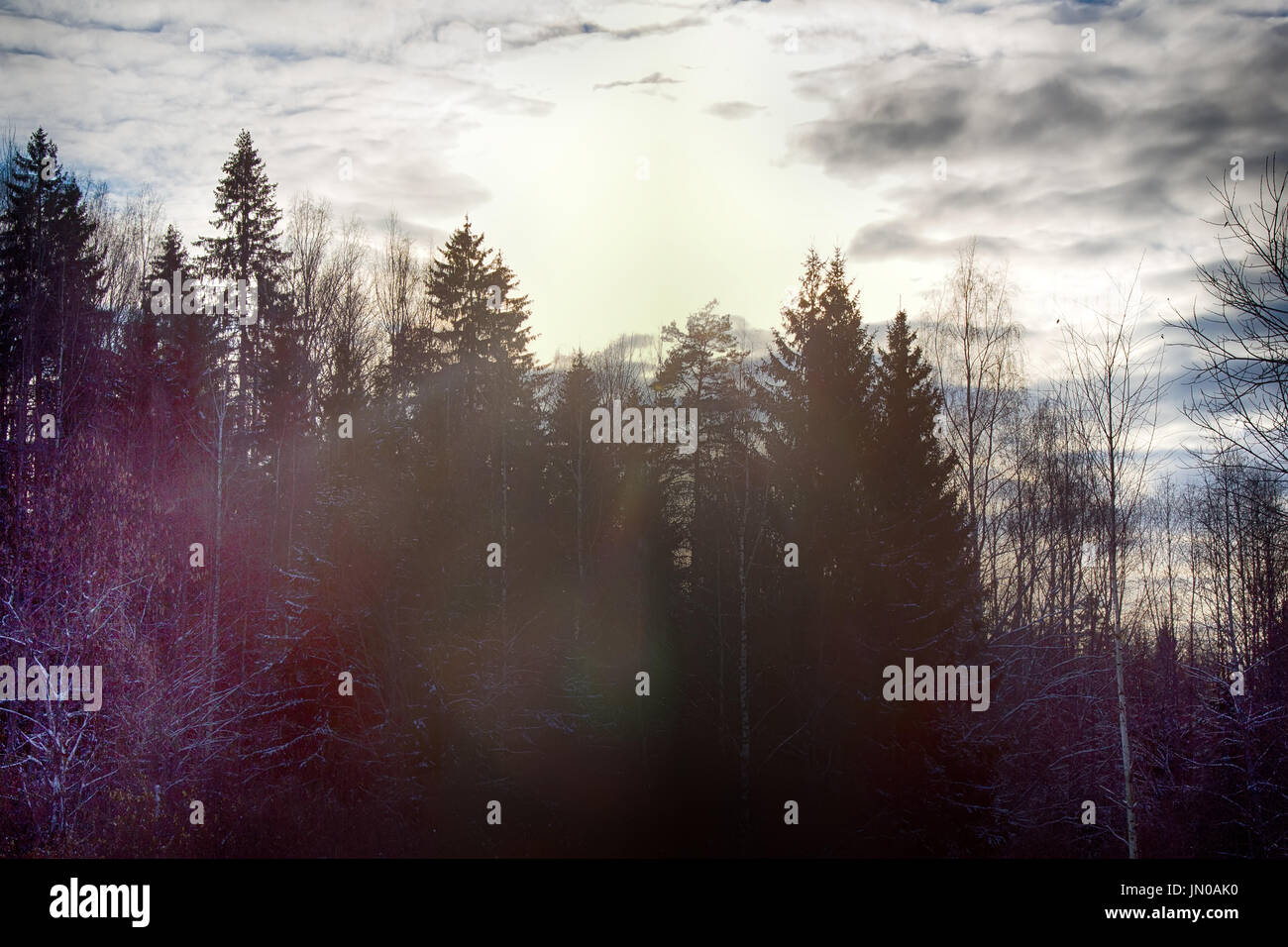 landscape dark atmosphere. dark forest autumn weather Stock Photo - Alamy