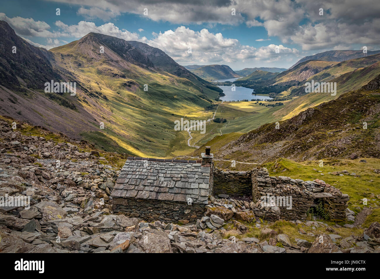 Lone tree buttermere hi-res stock photography and images - Alamy
