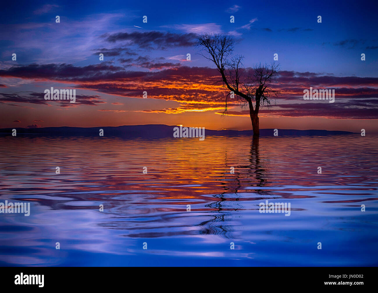 Lone tree at sunrise hi-res stock photography and images - Alamy